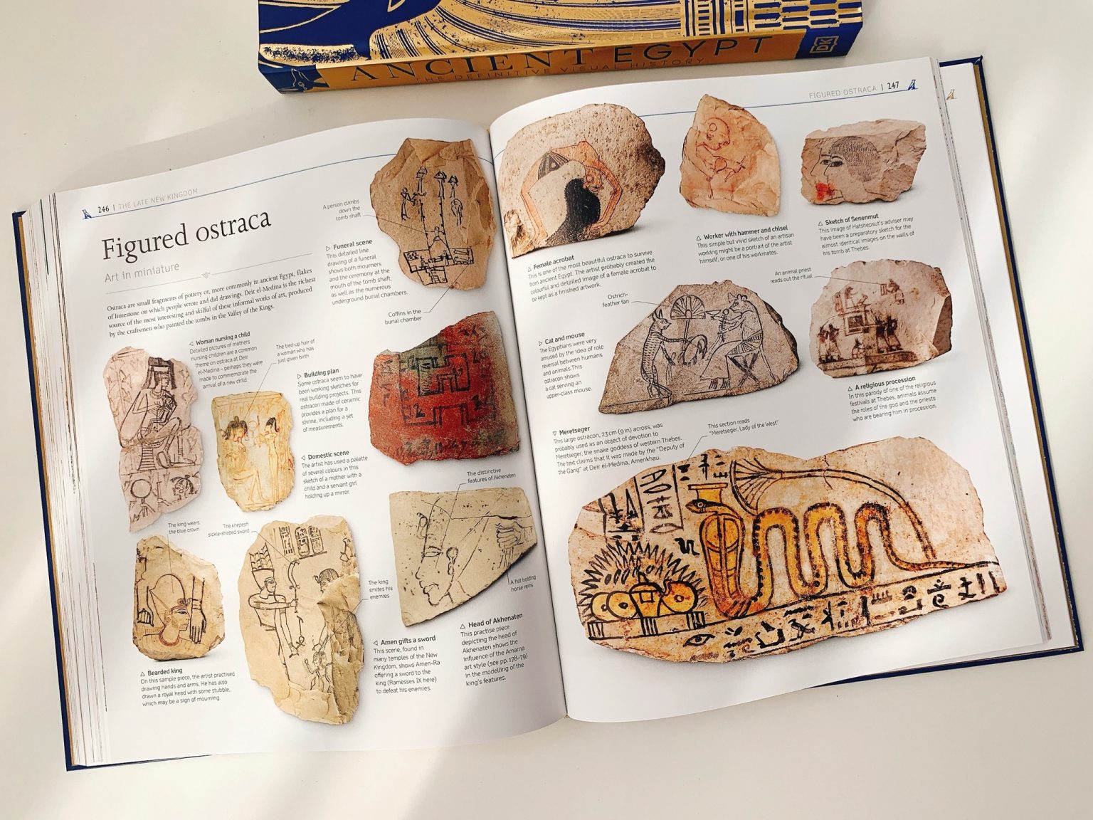Ancient Egypt : The Definitive Visual History - Jang Hana